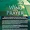 Amazon.com: A Wing and a Prayer (The John Morano Eco-Adventure Series ...