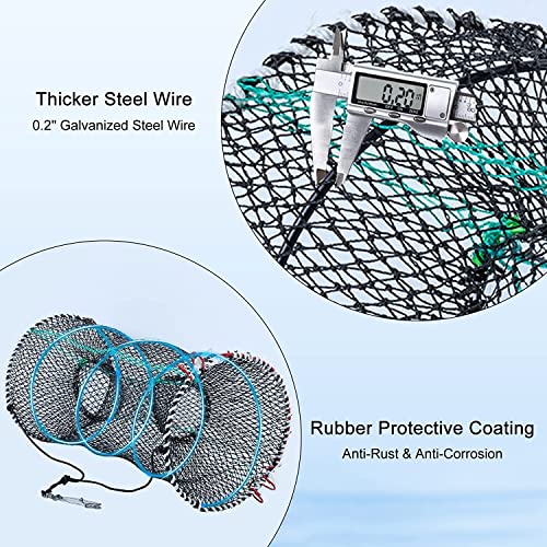 Anglerbasics Collapsible Folded Crab Trap, Portable Fishing Trap Net ...