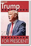 Amazon.com: Donald Trump 2016 Campaign Poster Signs Set of Three ...