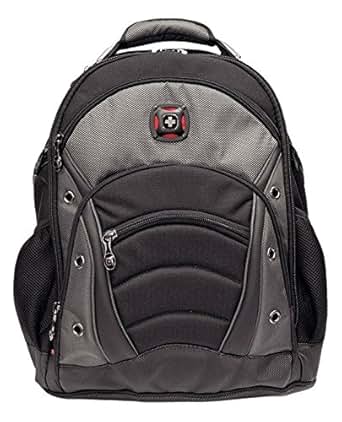 Amazon.com | Wenger Synergy Backpack, Gray (GA-7305-14F00) | Backpacks
