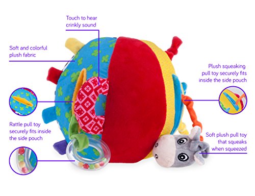 Nuby Squeak Rattle N' Roll Plush Interactive Toy | Pricepulse