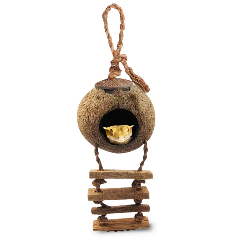 Mua SunGrow Crested Gecko, Snake & Ball Python Coco Hut, Treat & Food ...