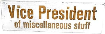 Amazon.com : VICE President of Miscellaneous Stuff 10.5" x 3" Novelty ...
