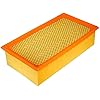 Amazon.com: Motorcraft FA1750 Air Filter: Automotive