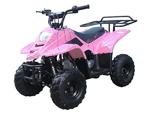 110cc ATV Four Wheelers Fully Automatic 4 Stroke Engine 6 Inch Tires ...