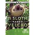 Amazon.com: Nature: A Sloth Named Velcro : ., .: Movies & TV