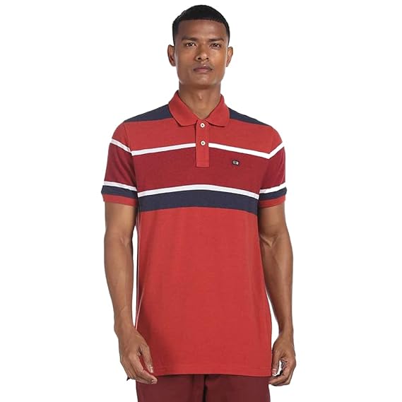 Buy Arrow Men's Regular Polo Shirt at Amazon.in