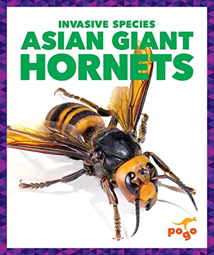 Asian Giant Hornets (Invasive Species): Klepeis, Alicia Z ...