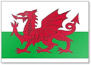 Bandera de Gales, dragón rojo sobre el blanco y verde, ilustración ...