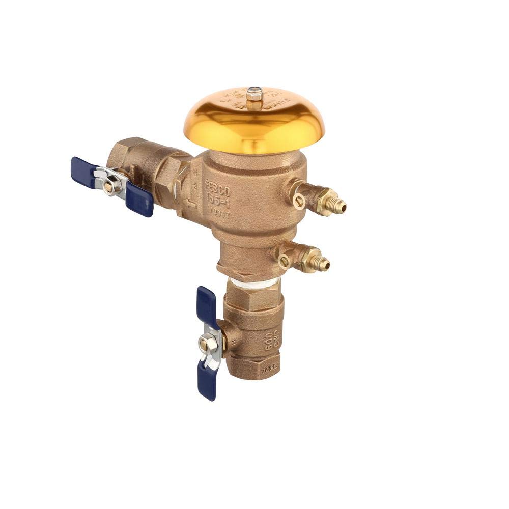 Febco 765EBV 1 inch NPT Bronze Pressure Vacuum Breaker 765-1 BV