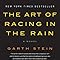 Amazon.com: The Art of Racing in the Rain: A Novel (9780061537967 ...