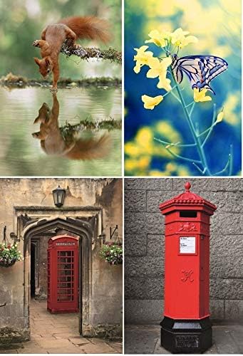 20 Top Picks – Mixed Pack of Our 20 Most Popular Postcards – BigaMart