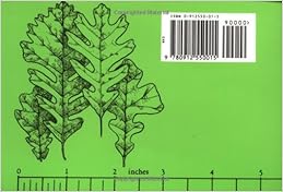 Tree Finder: A Manual for Identification of Trees by their Leaves ...