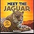 A Boy and a Jaguar: Alan Rabinowitz, Catia Chien: 0884655587884: Amazon ...