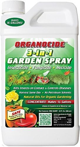 Amazon.com : Organic Labs Organocide Organic Insecticide Mites Qt ...