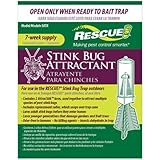 Amazon.com : TERRO T3500 Stink Bug Killer Aerosol Spray : Home Pest ...