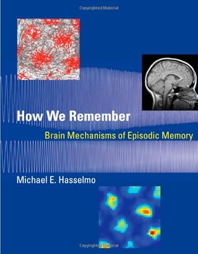 How We Remember: Brain Mechanisms of Episodic Memory in Kuwait | Whizz ...