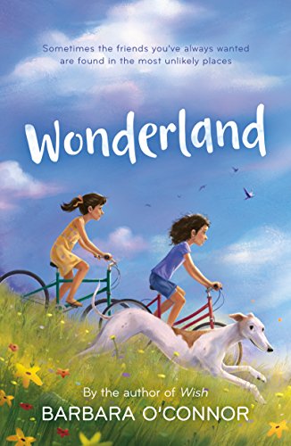 Wonderland: A Novel: O'Connor, Barbara: 9781250211385: Amazon.com: Books