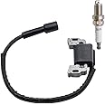 Amazon.com: JDLLONG 594626 594456 Ignition Coil for 595304 799650 ...