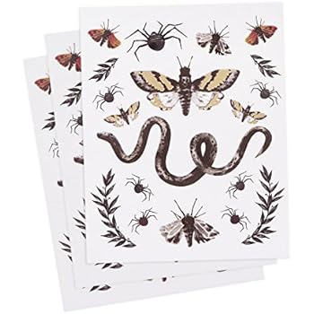 Amazon.com: Insect Bug Butterfly Scrapbook Stickers for Kids (10 Sheets)