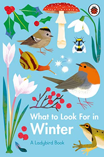 What to Look For in Winter: 9780241416228: Amazon.com: Books