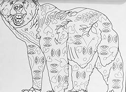 Amazon.com: Magical Forest: Creative Therapy Adult Coloring Book ...