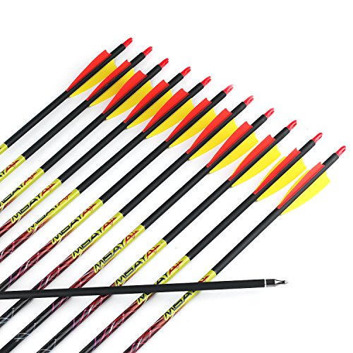 Misayar 12Pcs/lot 30 Inch Carbon Arrows Fletched 3 Inch Vane with Field ...