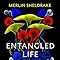 Entangled Life: How Fungi Make Our Worlds, Change Our Minds and Shape ...