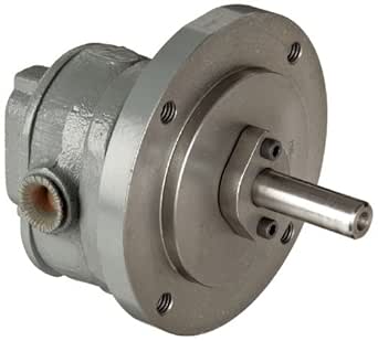 BSM Pump 713-910-2 1S Flange Mounted Rotary Gear Pump: Science Lab Pump ...