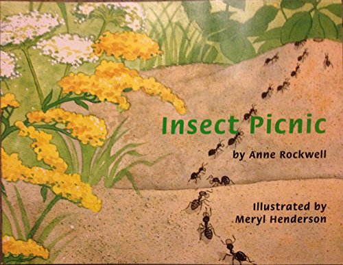Dlm Early Childhood Express: Insect Picnic Little Book English ...