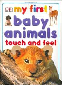 Amazon.com: My First Baby Animals Touch and Feel (My First Touch & Feel ...