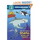 Amazon.com: Wild Sea Creatures: Sharks, Whales and Dolphins! (Wild Kratts) (Step into Reading ...