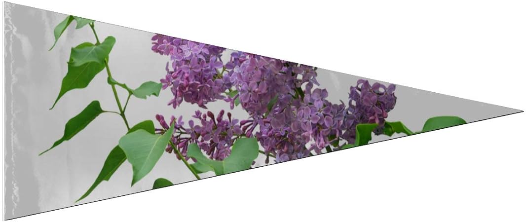 JOCHUAN Banderín Banderín Violeta Violeta Lila Flor Banderín clásico ...