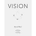 Vision: A Computational Investigation into the Human Representation and ...