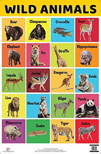 Buy Charts: Wild Animals Charts (Educational Charts for kids) Online at ...