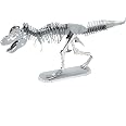 Amazon.com: Fascinations Metal Earth Tyrannosaurus Rex Skeleton 3D ...