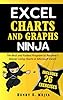 EXCEL CHARTS AND GRAPHS NINJA: The Best and Fastest Program to Become a ...