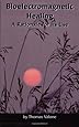 Bioelectromagnetic Healing: A Rationale for its Use: 9780964107052 ...