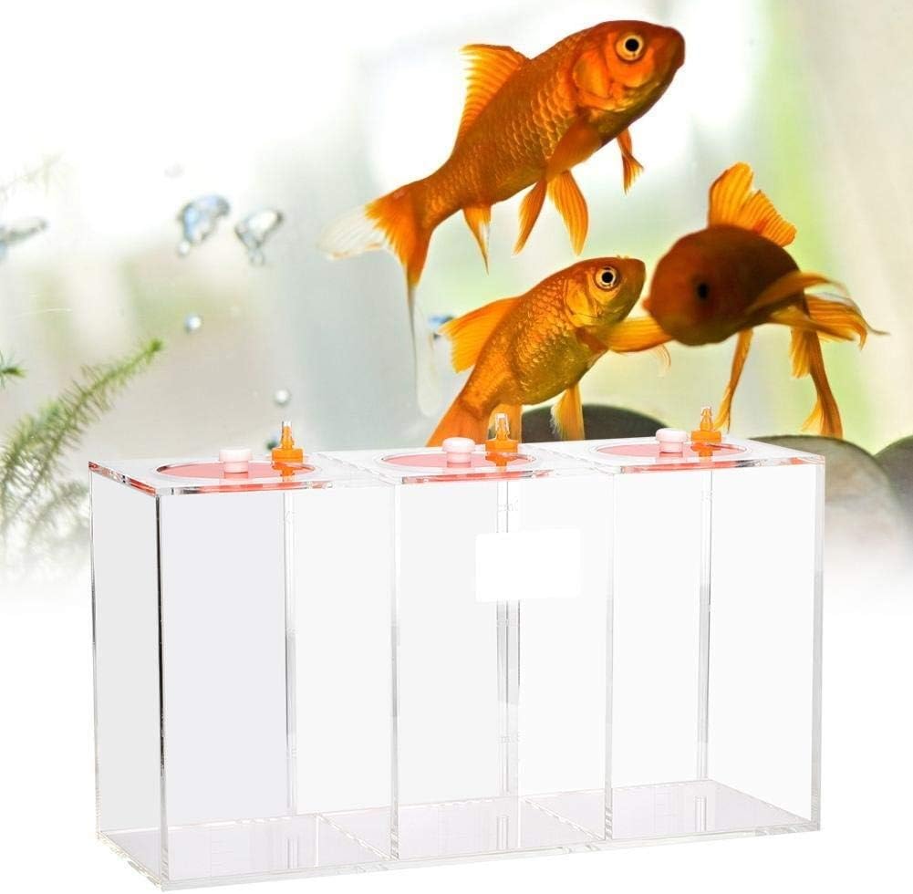 Unibell Dosing Pump Scale Liquid Storage Bucket with Scale, 4.5 Liters ...