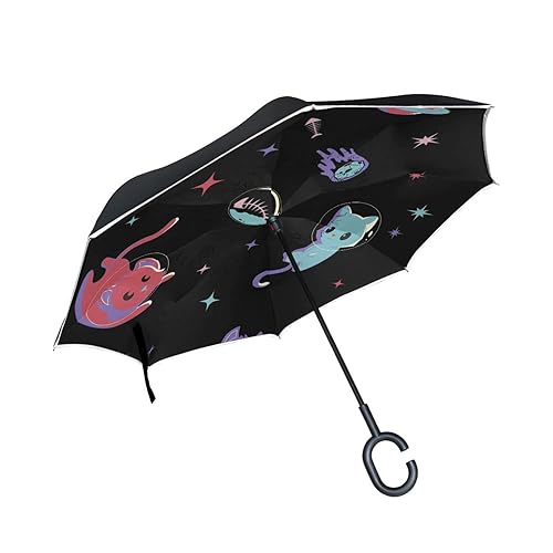 Inverted Cross Galaxy Kitten