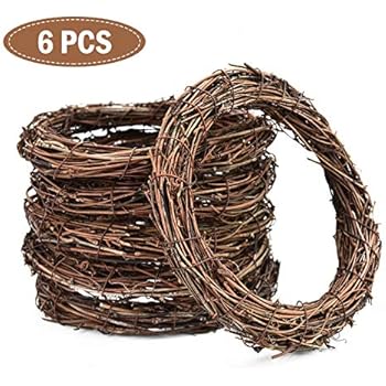 Amazon.com: Darice Bulk Buy DIY Crafts Grapevine Wreath Natural 8 ...
