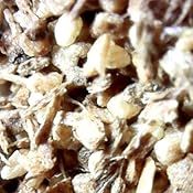 Amazon.com : Organic Ceylon Cinnamon Powder - Family Owned Since 1935 ...