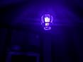 Amazon.com: Blacklight Bulb,Lee Lighting 12W LED UV Ultraviolet ...