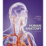 A Visual Analogy Guide to Human Anatomy: Paul A. Krieger: 9781640431942 ...