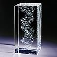 Amazon.com: Mini DNA Science Crystals : Toys & Games