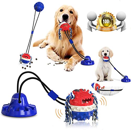 Automatic Ball Launchers Kuwait | Buy Online | Whizz Others