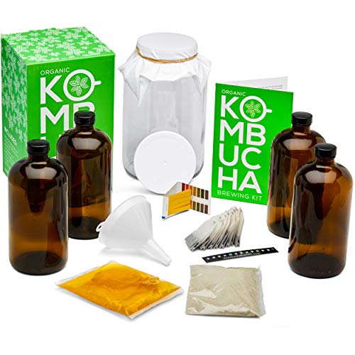Buy Kitchentoolz Two Phase Deluxe Kombucha Starter Kit - Kombucha Jar, Kombucha Bottles, Scoby ...