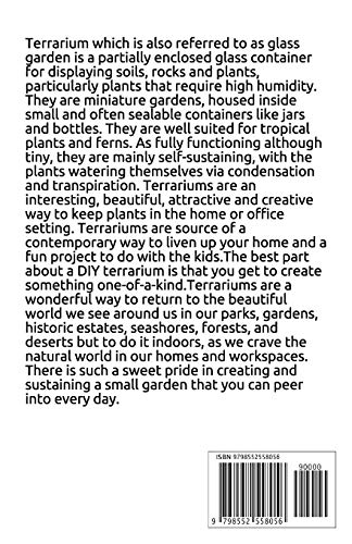 BEGINNER'S GUIDE TO TERRARIUMS: Step By Step Guide On Setting Up A Terrarium Plus Everything You ...