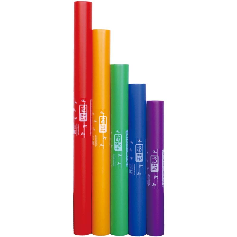 BOOMWHACKERS CHROMATIC SET: Amazon.in: Musical Instruments