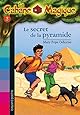 Amazon.fr - La cabane magique, Tome 01: La vallée des dinosaures - Mary ...